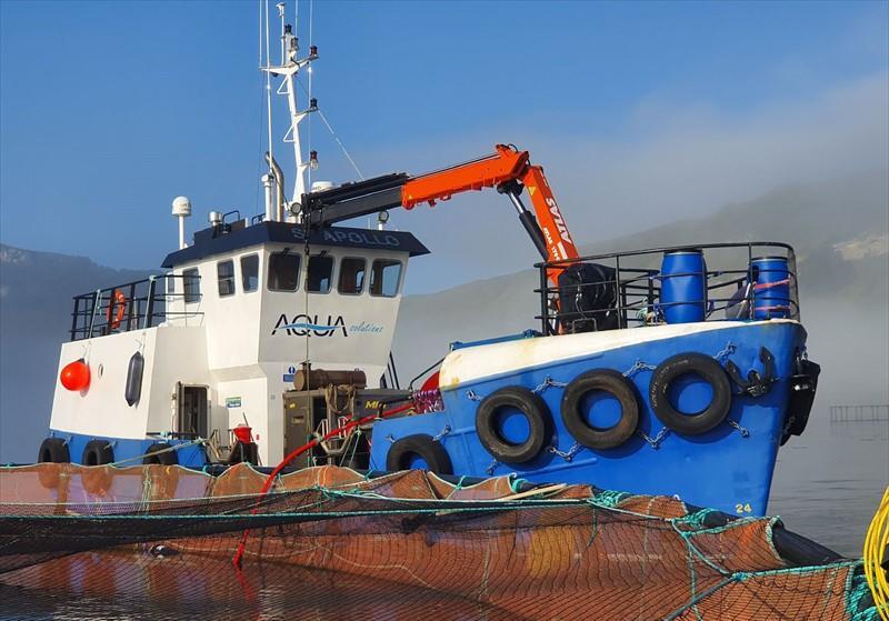 ST APOLLO - Vesseljoin