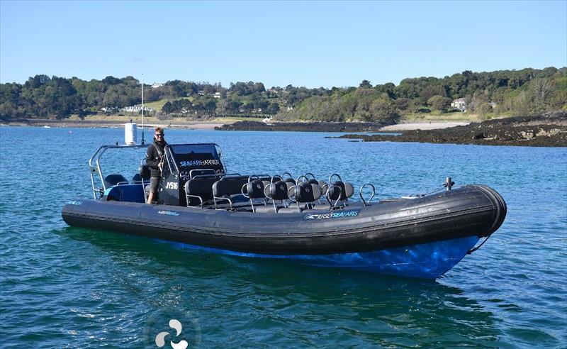 SEAFARI HARRIER - Vesseljoin