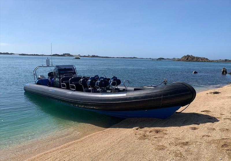 SEAFARI HARRIER - Vesseljoin