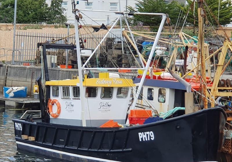 SIDNEY ROSE - Vesseljoin