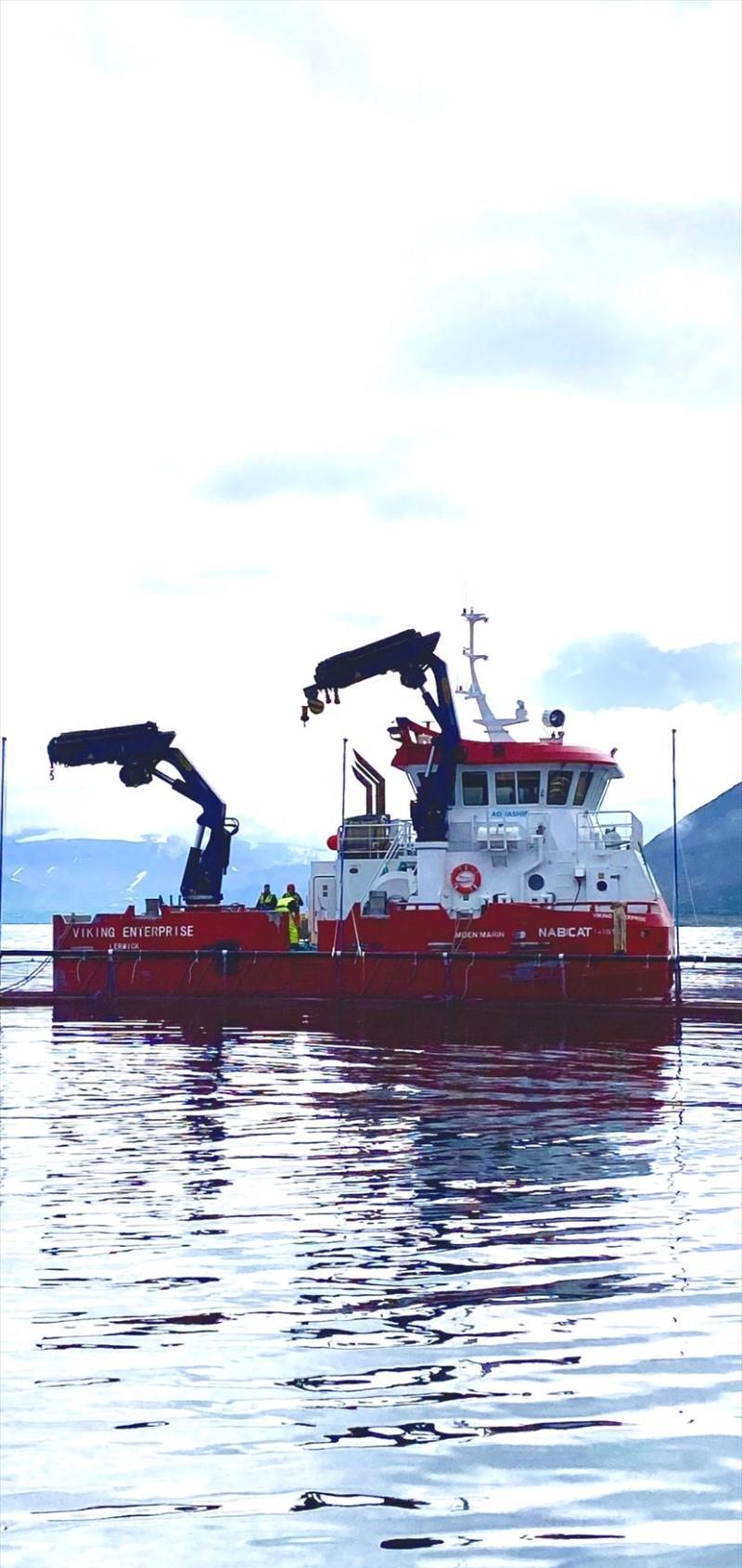 VIKING ENTERPRISE - Vesseljoin
