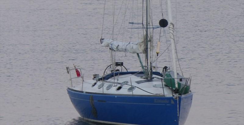 KITTIWAKE - Vesseljoin