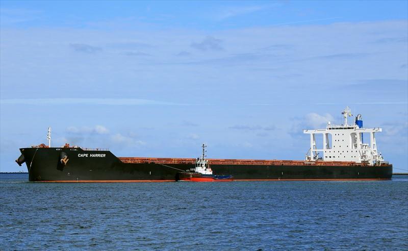 CAPE HARRIER - Vesseljoin
