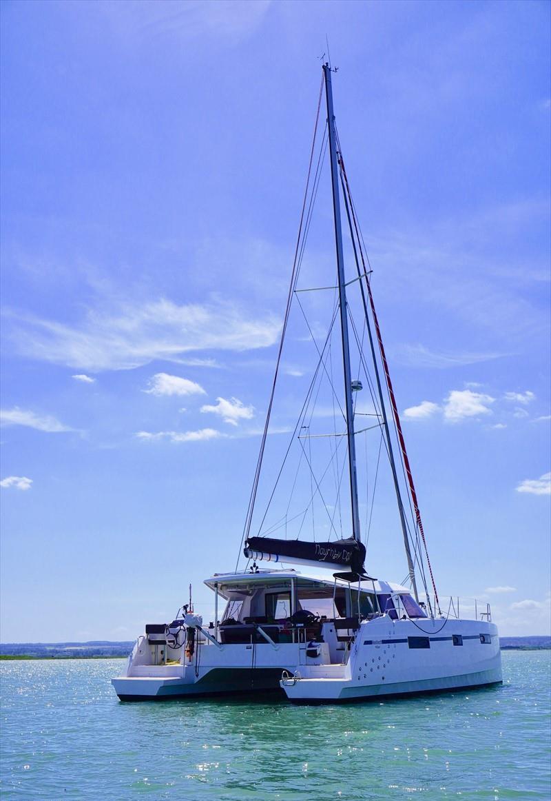 NAUGHTY CAT - Vesseljoin