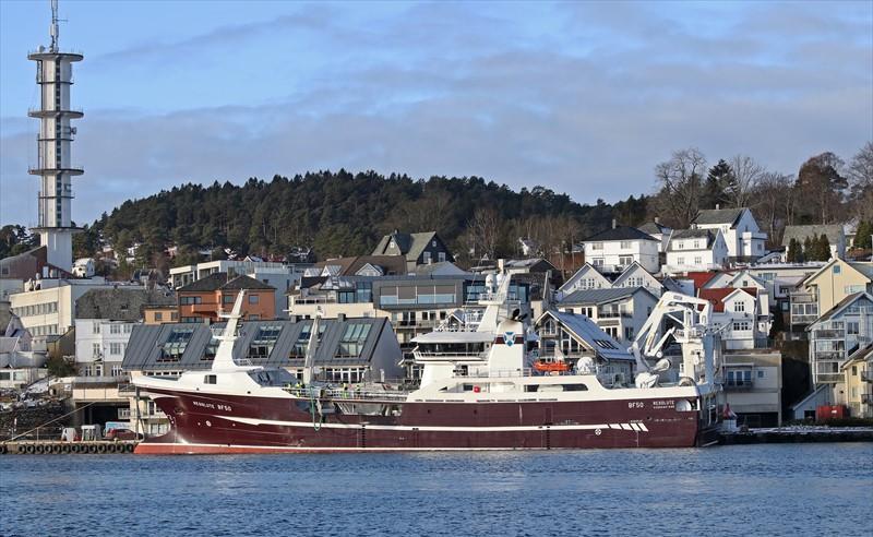 RESOLUTE BF50 - Vesseljoin