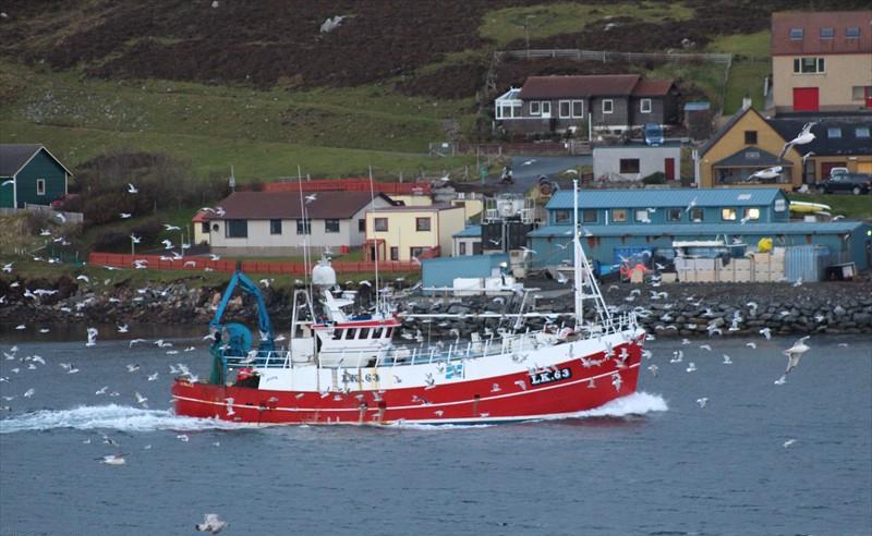 SHARON VALE - Vesseljoin