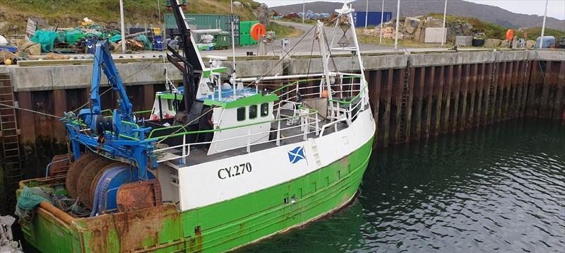 SILVER CREST - Vesseljoin