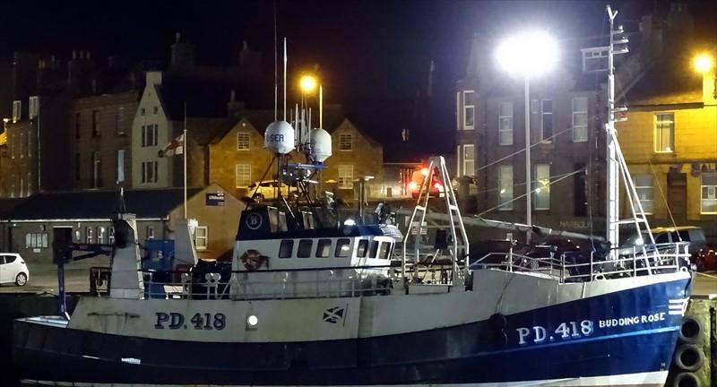 BUDDING ROSE - Vesseljoin