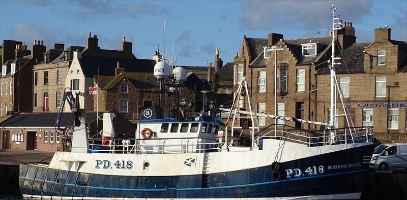 BUDDING ROSE - Vesseljoin