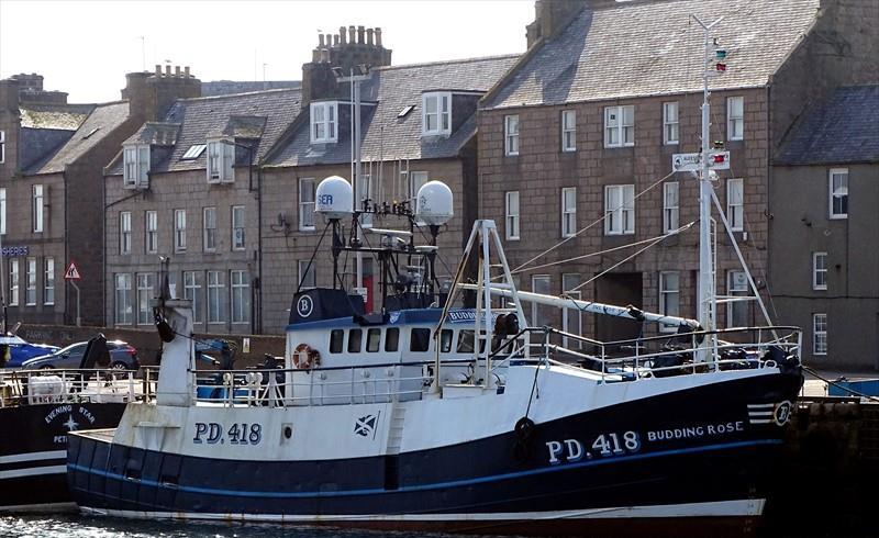 BUDDING ROSE - Vesseljoin