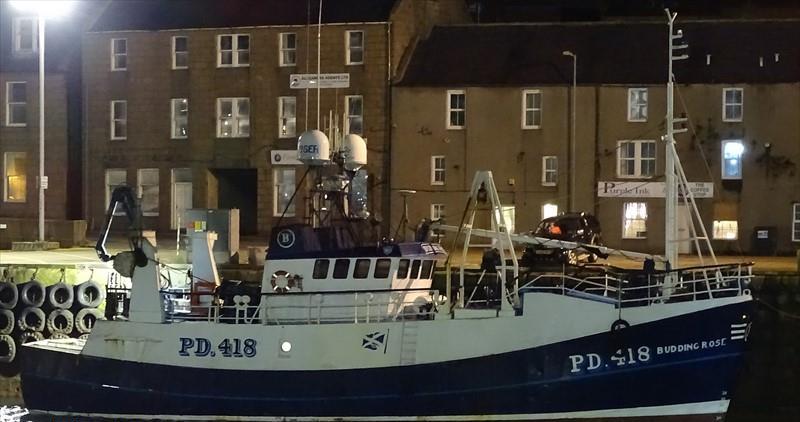 BUDDING ROSE - Vesseljoin