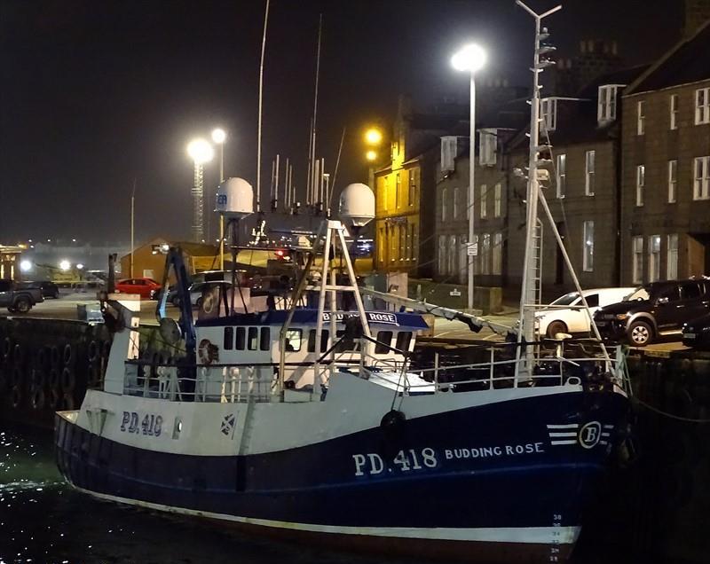 BUDDING ROSE - Vesseljoin