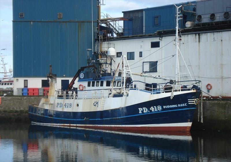 BUDDING ROSE - Vesseljoin