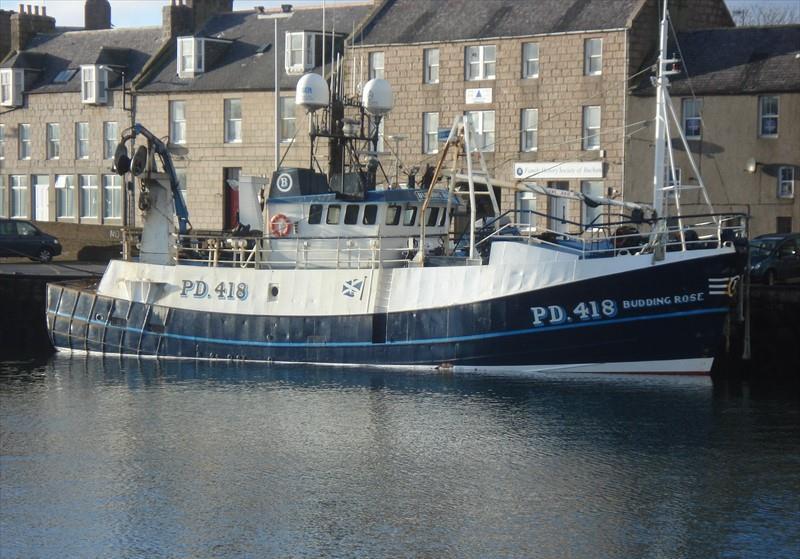 BUDDING ROSE - Vesseljoin