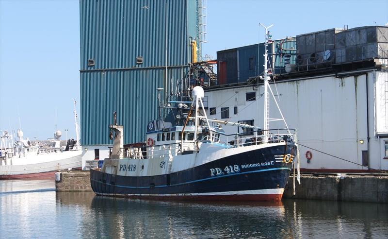 BUDDING ROSE - Vesseljoin