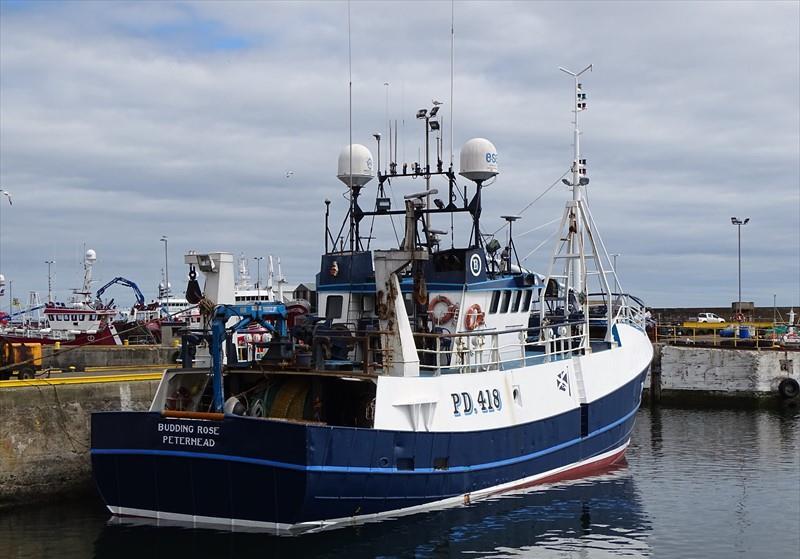 BUDDING ROSE - Vesseljoin