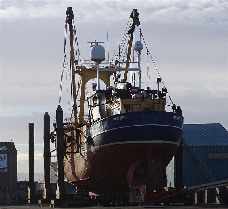 KESTREL - Vesseljoin