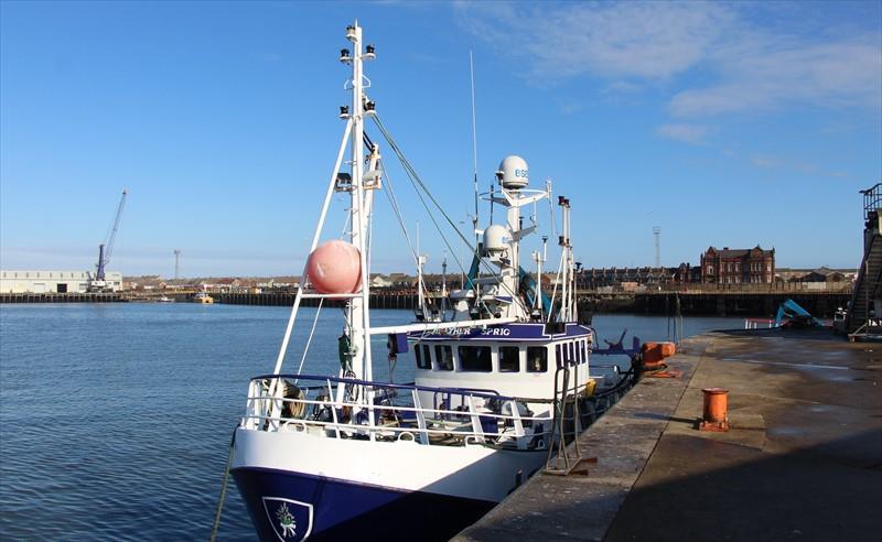 HEATHER SPRIG - Vesseljoin