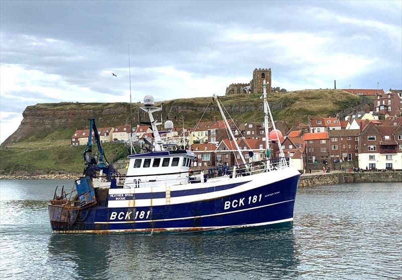 HEATHER SPRIG - Vesseljoin