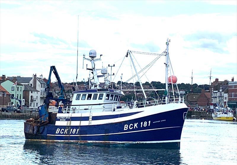 HEATHER SPRIG - Vesseljoin