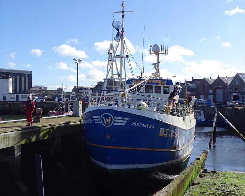 SARDONYX II - Vesseljoin