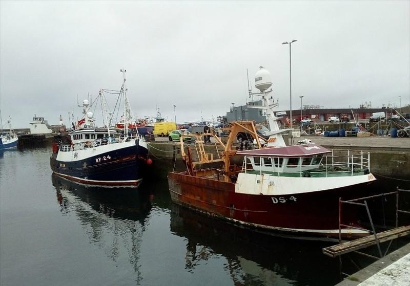 SERENITY BF24 - Vesseljoin