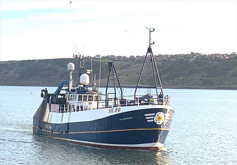 ALLEGIANCE S - Vesseljoin