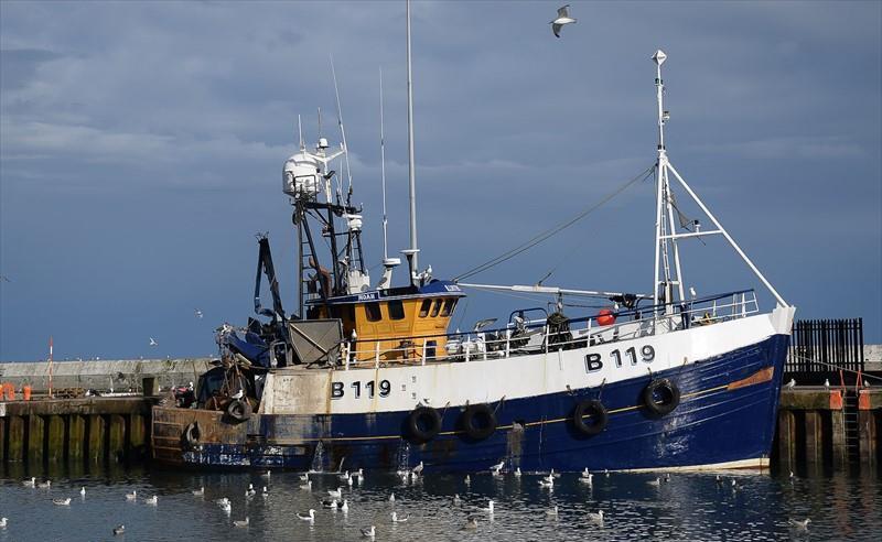 ILLUSTRIS B119 - Vesseljoin