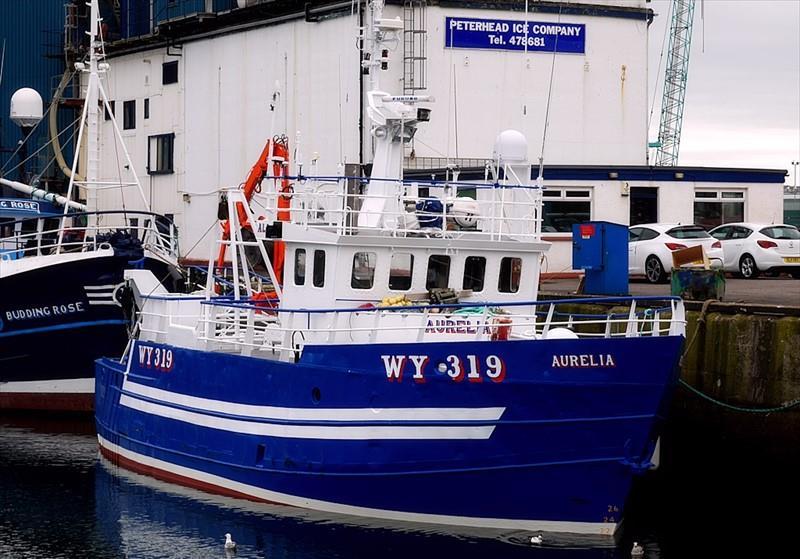 G.V AURELIA - Vesseljoin