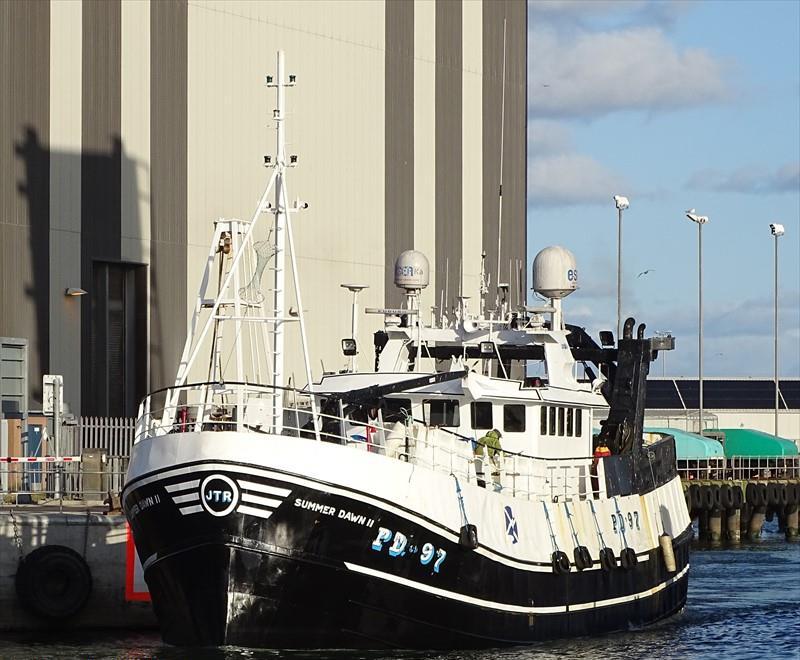 RYANWOOD - Vesseljoin