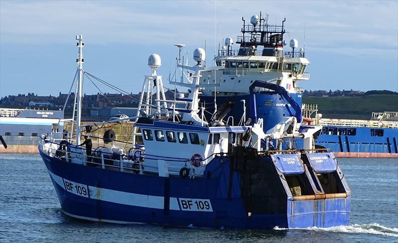 CELESTIAL DAWN - Vesseljoin