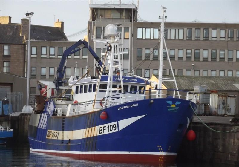 CELESTIAL DAWN - Vesseljoin