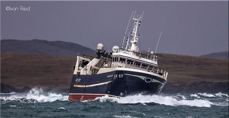 ALISON KAY - Vesseljoin