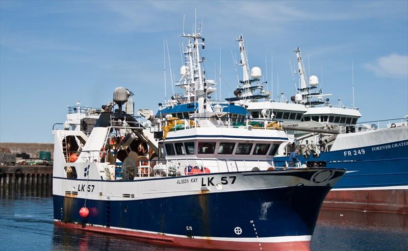 ALISON KAY - Vesseljoin