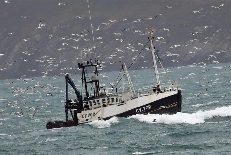 MINCH HARVESTER - Vesseljoin