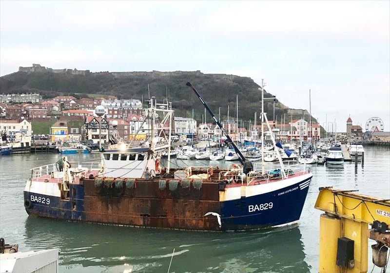 KING EXPLORER - Vesseljoin