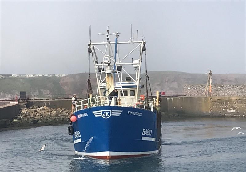 KING EXPLORER - Vesseljoin