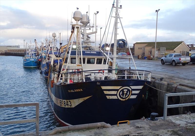 SHALANNA - Vesseljoin