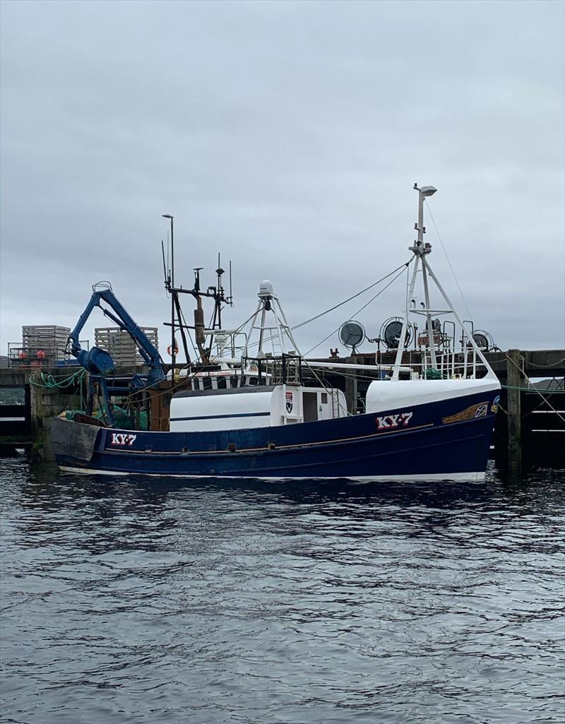 TRUE VINE KY7 - Vesseljoin