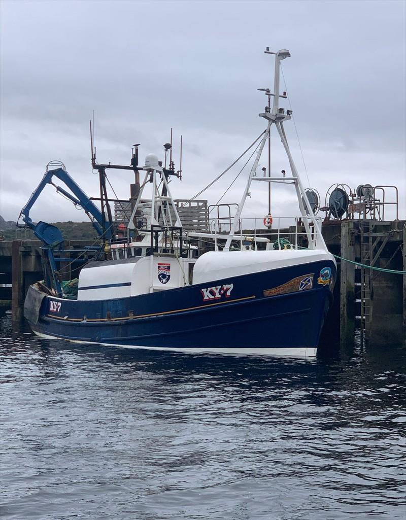 TRUE VINE KY7 - Vesseljoin