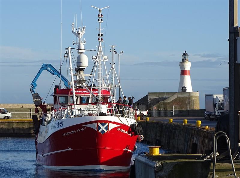 SPARKLING STAR IV - Vesseljoin