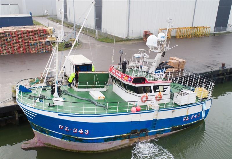 OUR HAZEL - Vesseljoin