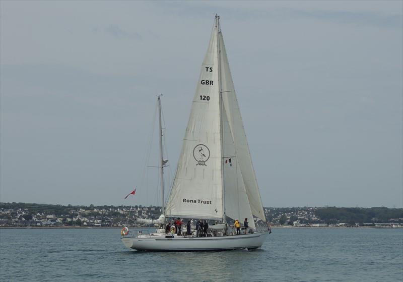 DONALD SEARLE - Vesseljoin