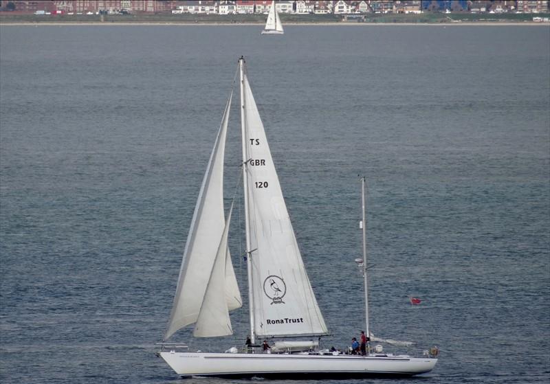 DONALD SEARLE - Vesseljoin