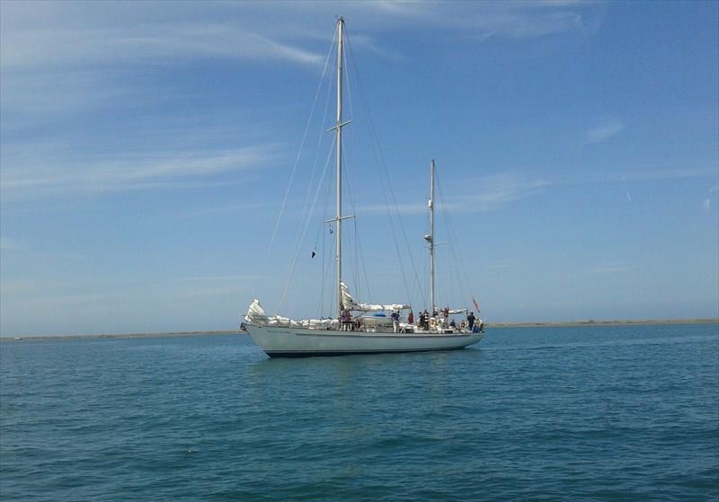 DONALD SEARLE - Vesseljoin