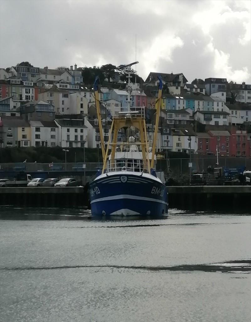 EMILIA JAYNE - Vesseljoin