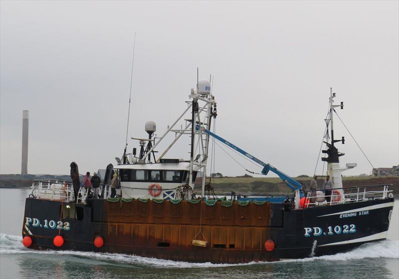 EVENING STAR - Vesseljoin