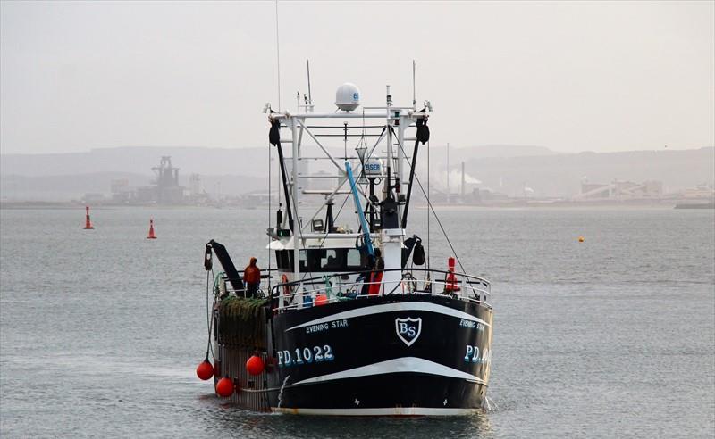 EVENING STAR - Vesseljoin