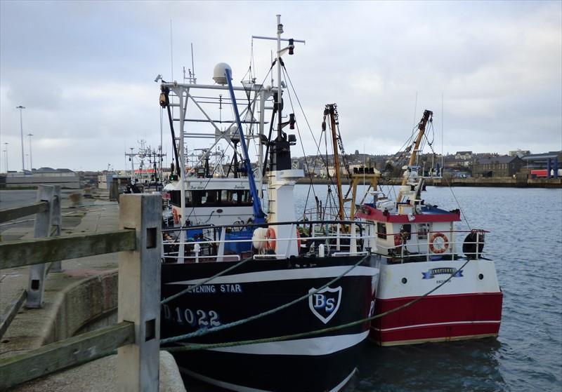 EVENING STAR - Vesseljoin