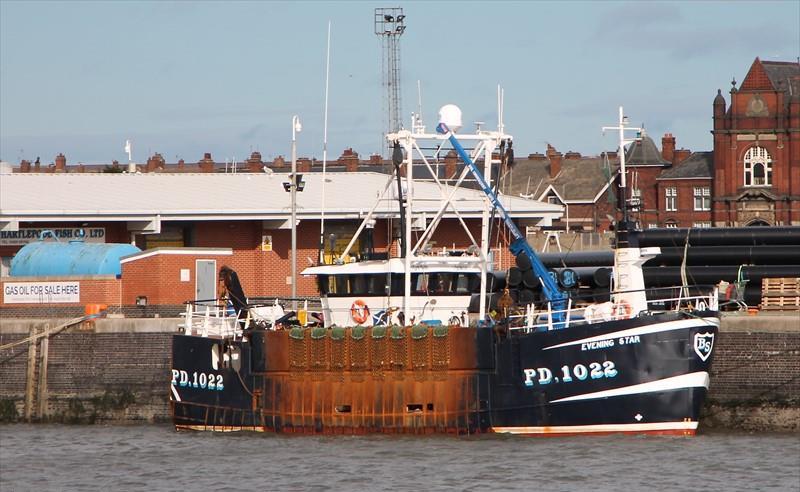 EVENING STAR - Vesseljoin